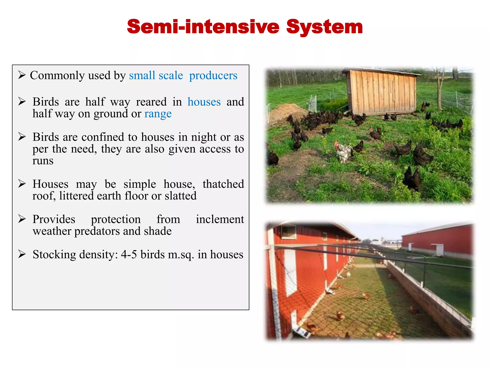 Housing systems of modern poultry | PPTX