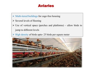 Housing systems of modern poultry | PPTX
