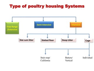 Housing systems of modern poultry | PPTX