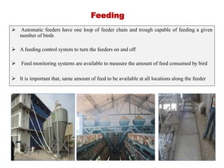 Housing systems of modern poultry | PPTX