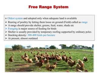 Housing systems of modern poultry | PPTX