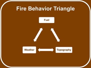 Houston-Gulf Coast Area State Parks Fire Protection Evaluation | PPTX ...