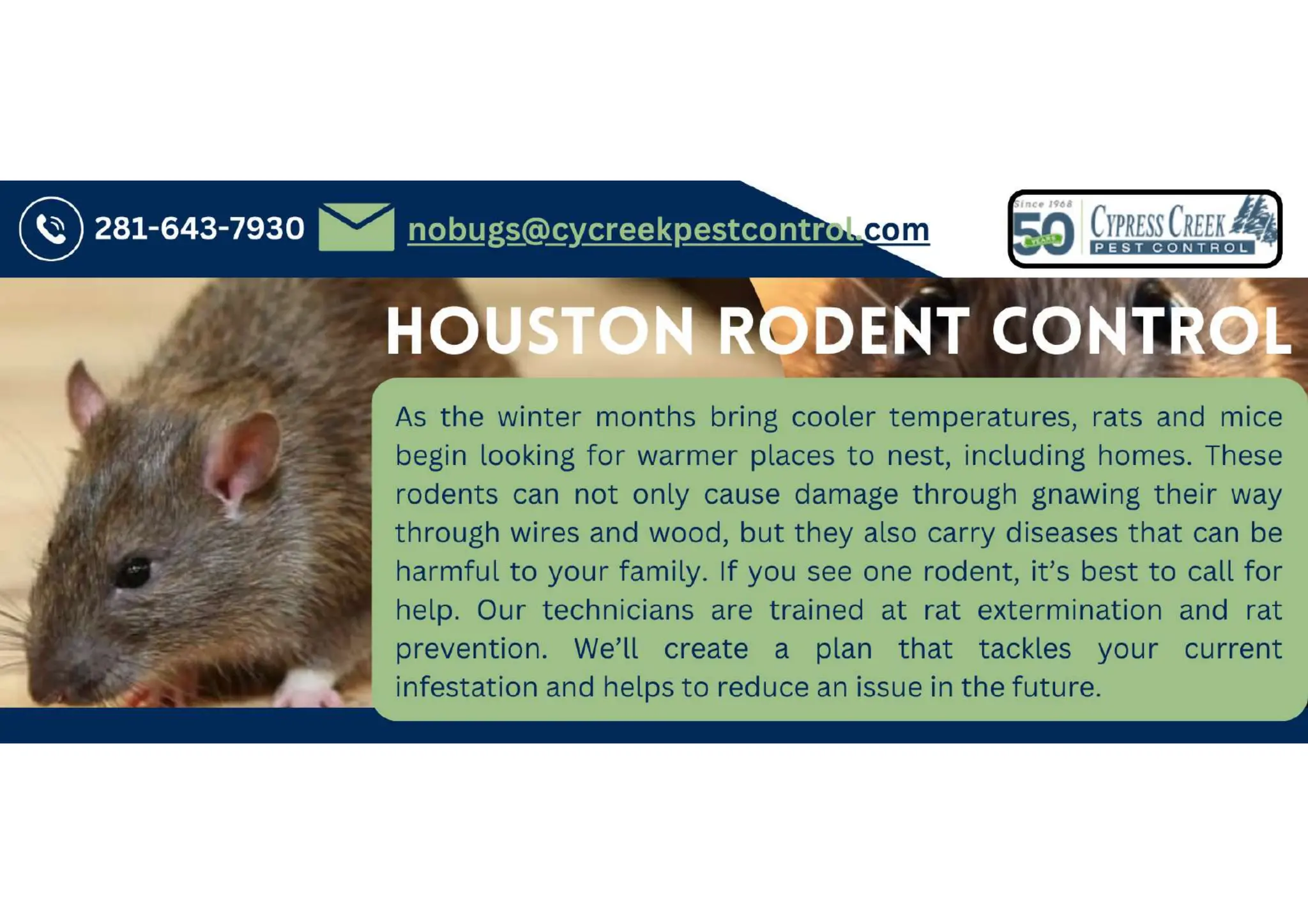 HOUSTON RODENT CONTROL | PPT