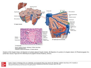 Hovhannisyan HS_Propaedeutics of HBS.pdf