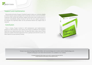 Hovitaga OpenSQL Editor - Security and authorization concept | PDF