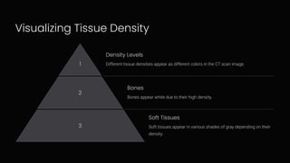 A look at How a CT Scan Works - Eric Hagerbrant | PDF