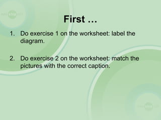 Engine operational definition of works.pptx