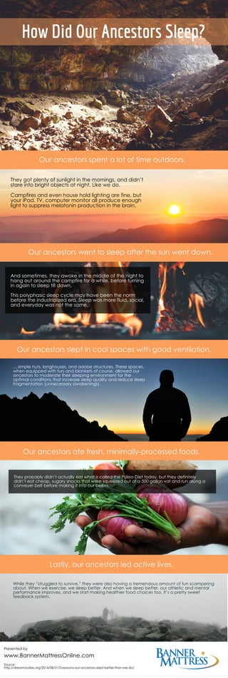 How Did Our Ancestors Sleep? | PDF