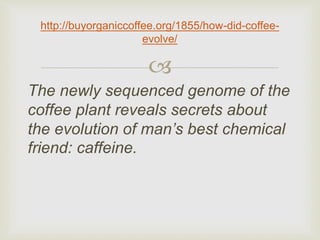 How Did Coffee Evolve? | PPT