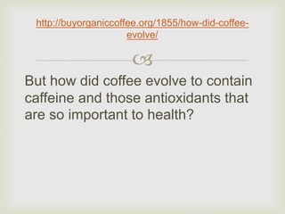 How Did Coffee Evolve? | PPT