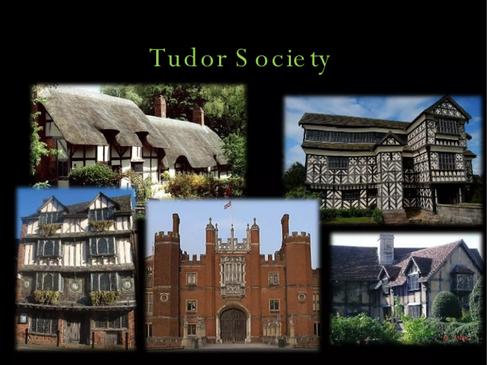 How Did The Structure Of Tudor Society Effect2 | PDF