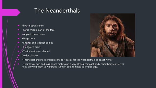 How did we survive and the neanderthals die out | PPT