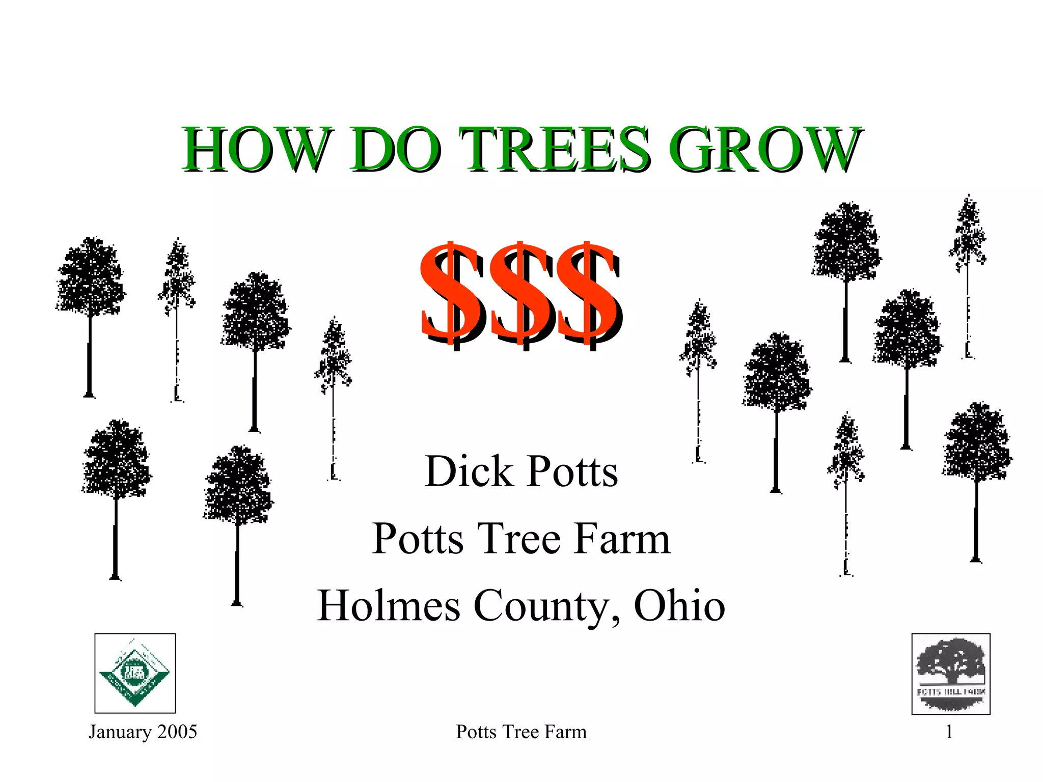 How Do Trees Grow? | PPT