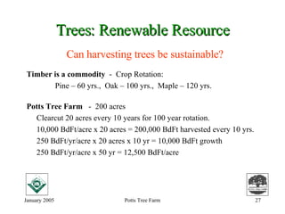 How Do Trees Grow? | PPT