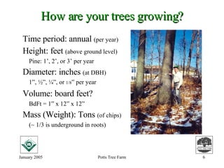How Do Trees Grow? | PPT