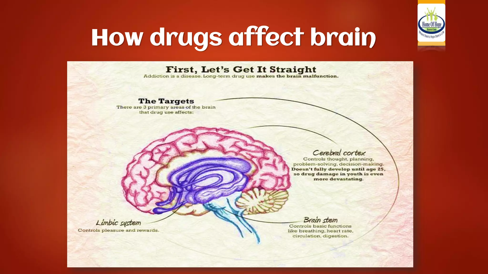 How drugs-affect-brain | PDF