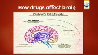 How drugs-affect-brain | PDF
