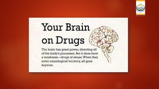 How drugs-affect-brain | PDF