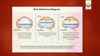 How drugs-affect-brain | PDF