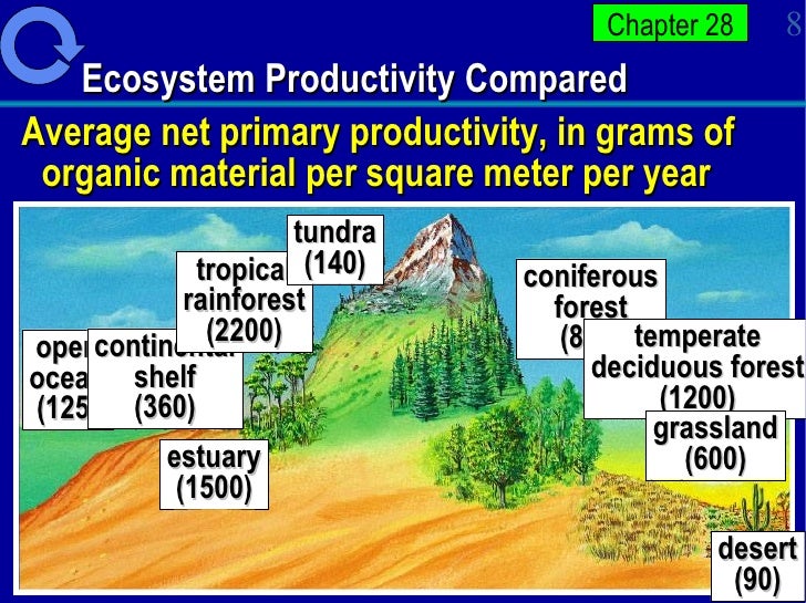 How Ecosystems Work APBio