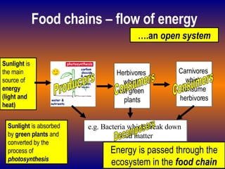How Is Energy Transferred | PPT
