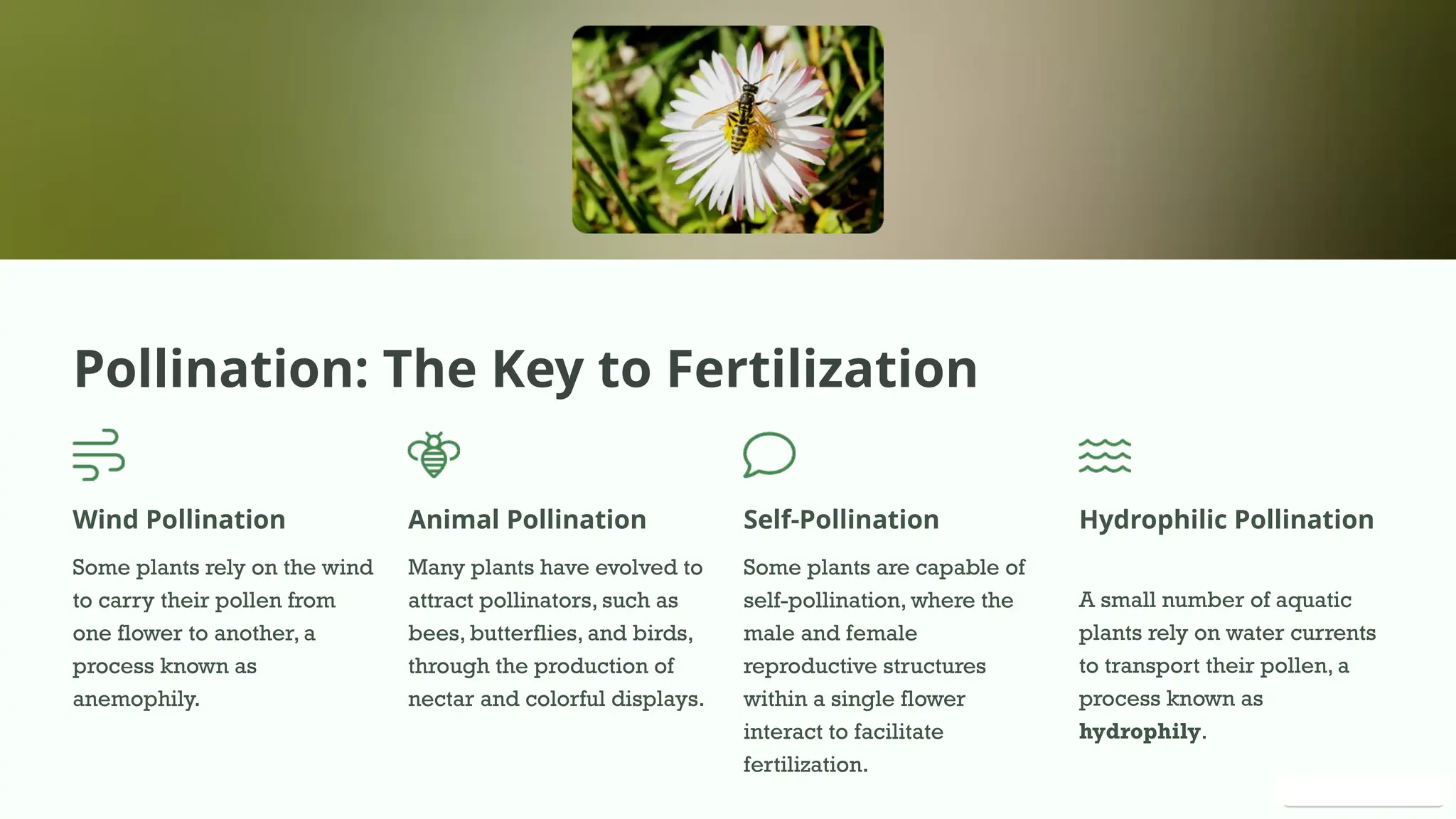 SCIENCE.How-Plants-Reproduce.pptx-1.pptx