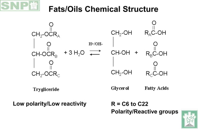 How-SNP-Tests_Oil-and-Grease-Resistance.pptx | Chemistry | Science
