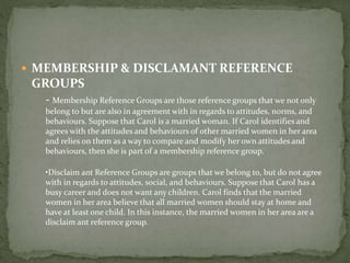 How society-is-organized | PPTX