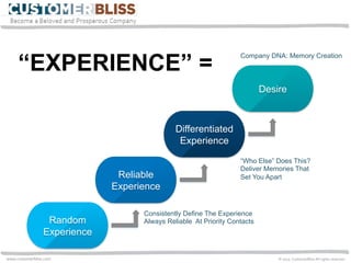 How to Build a Customer-Driven Growth Engine | PDF | Business ...