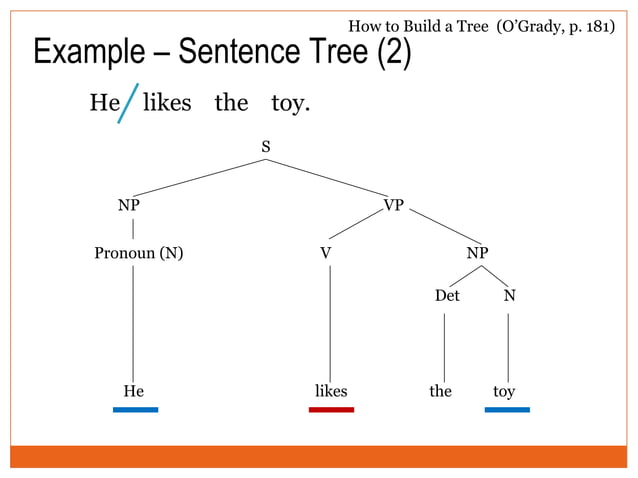 How to-build-a-tree-diagrams-answer-key-for-homework-and-review1 | PPT ...