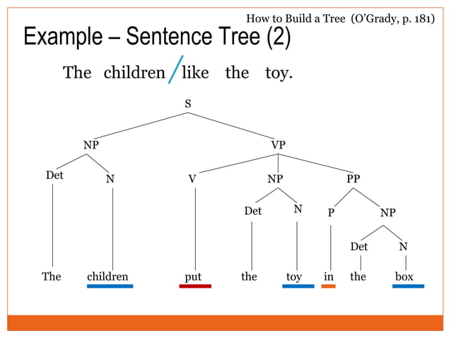 How to-build-a-tree-diagrams-answer-key-for-homework-and-review1 | PPT ...