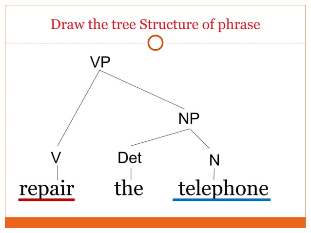 How to-build-a-tree-diagrams-answer-key-for-homework-and-review1 | PPT ...