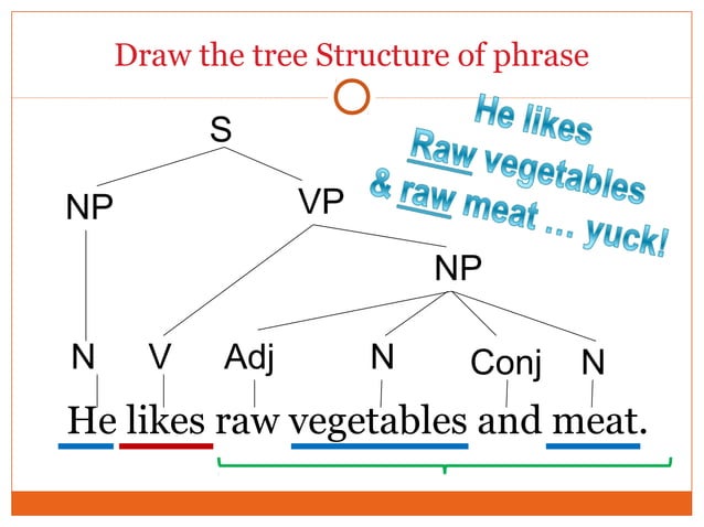 How to-build-a-tree-diagrams-answer-key-for-homework-and-review1 | PPT ...