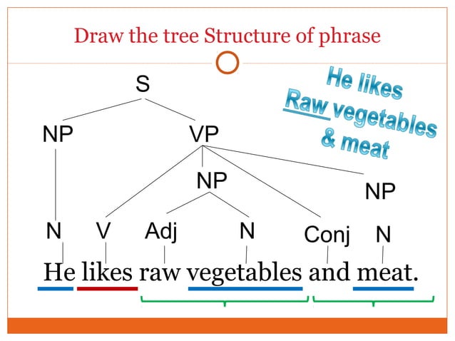 How to-build-a-tree-diagrams-answer-key-for-homework-and-review1 | PPT ...