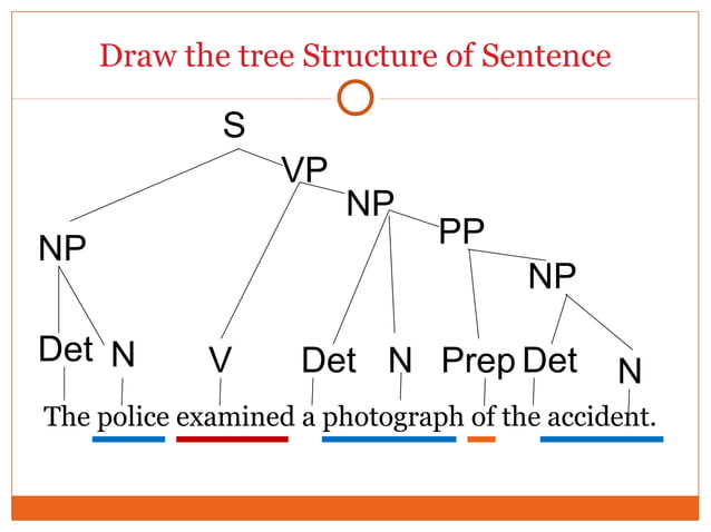How to-build-a-tree-diagrams-answer-key-for-homework-and-review1 | PPT ...