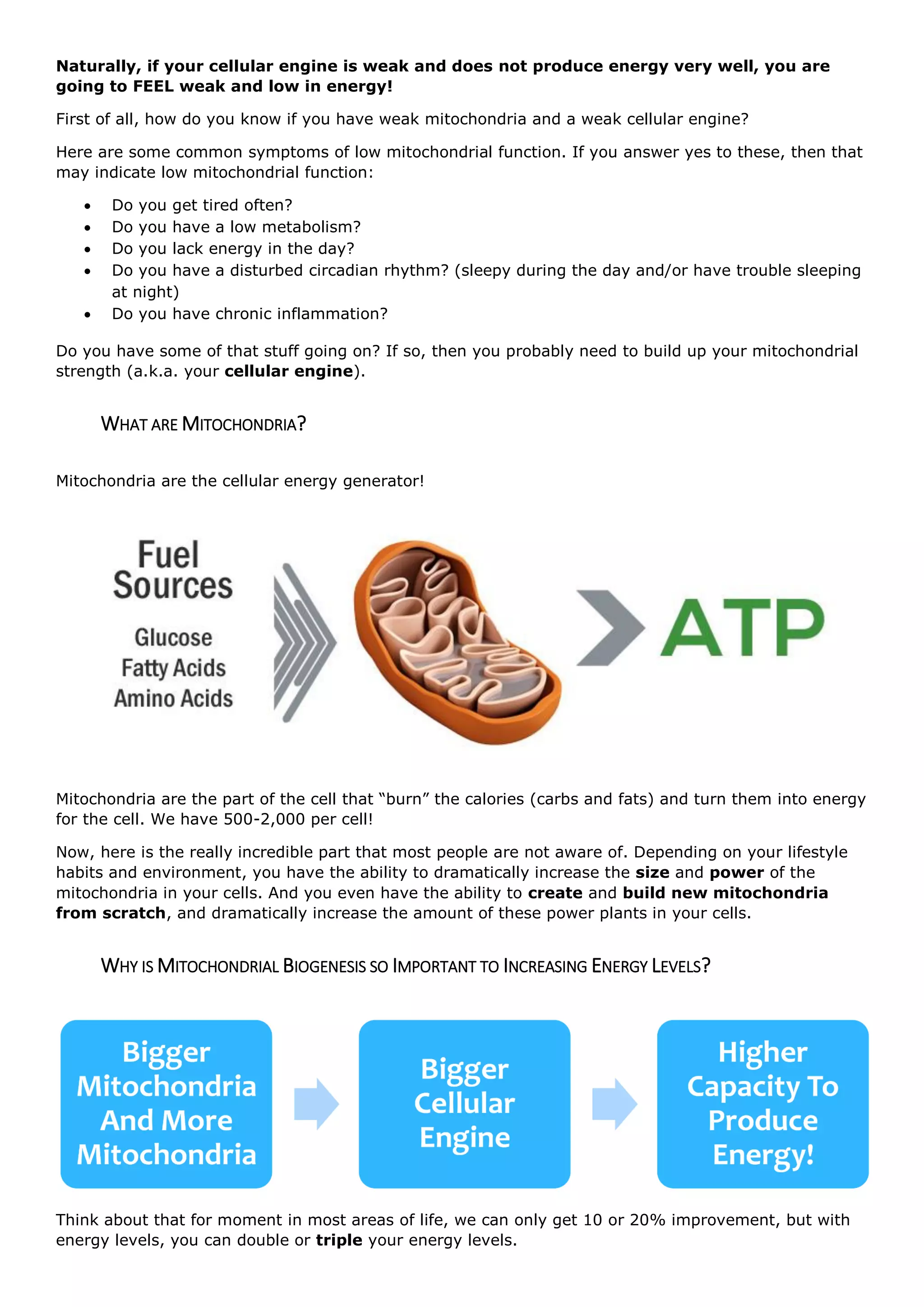 How to-build-your-cellular-engine- | PDF