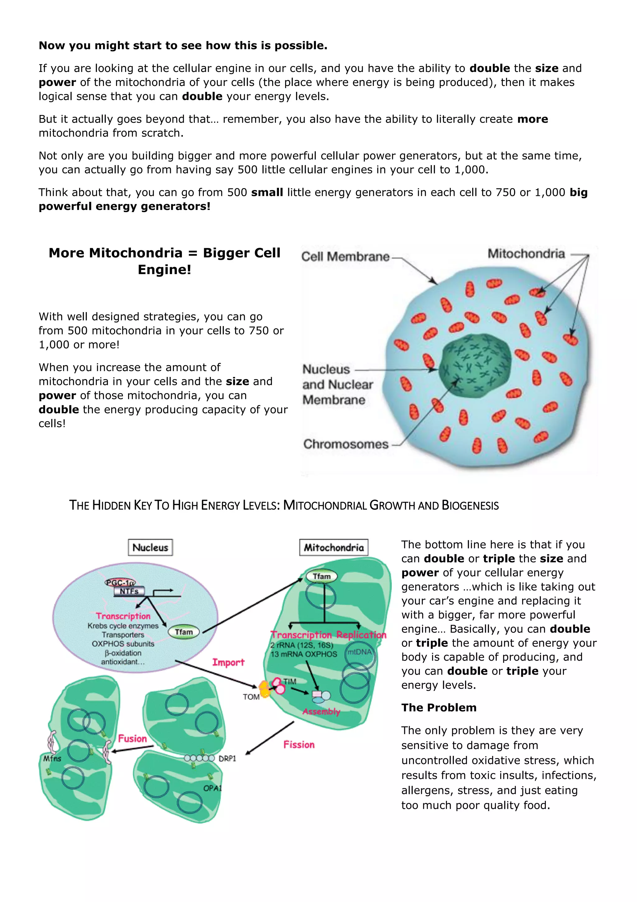 How to-build-your-cellular-engine- | PDF