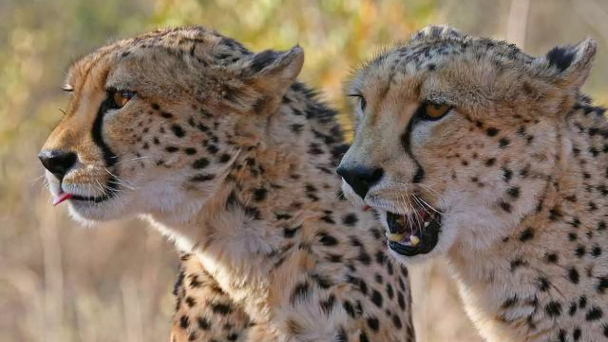 How to communicate science effectively (IWC8 Presentation) | PPT