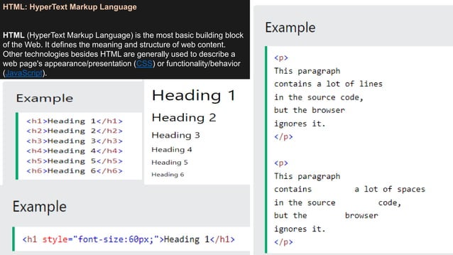 How to Create a College Website Page Using HTML | PPTX | Web Design and HTML | Internet