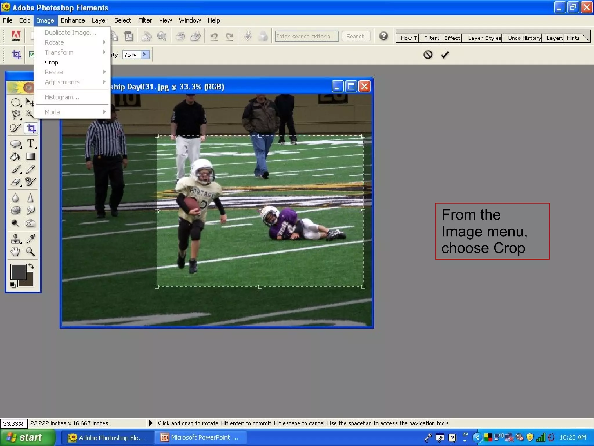 How to Crop an Image | PPT