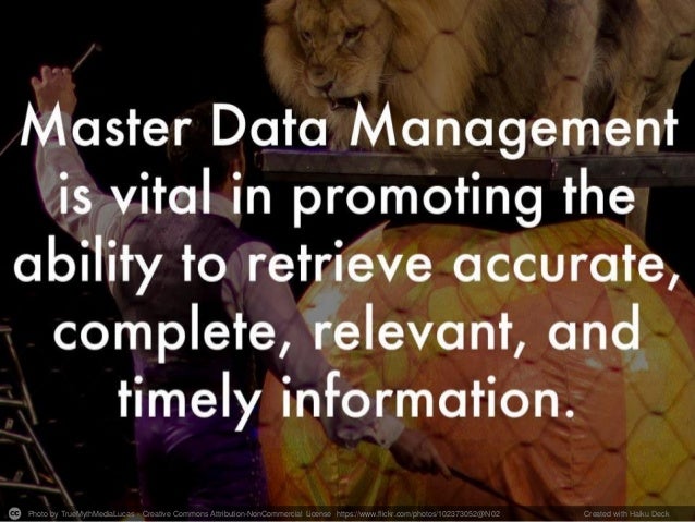 How To Define Master Data