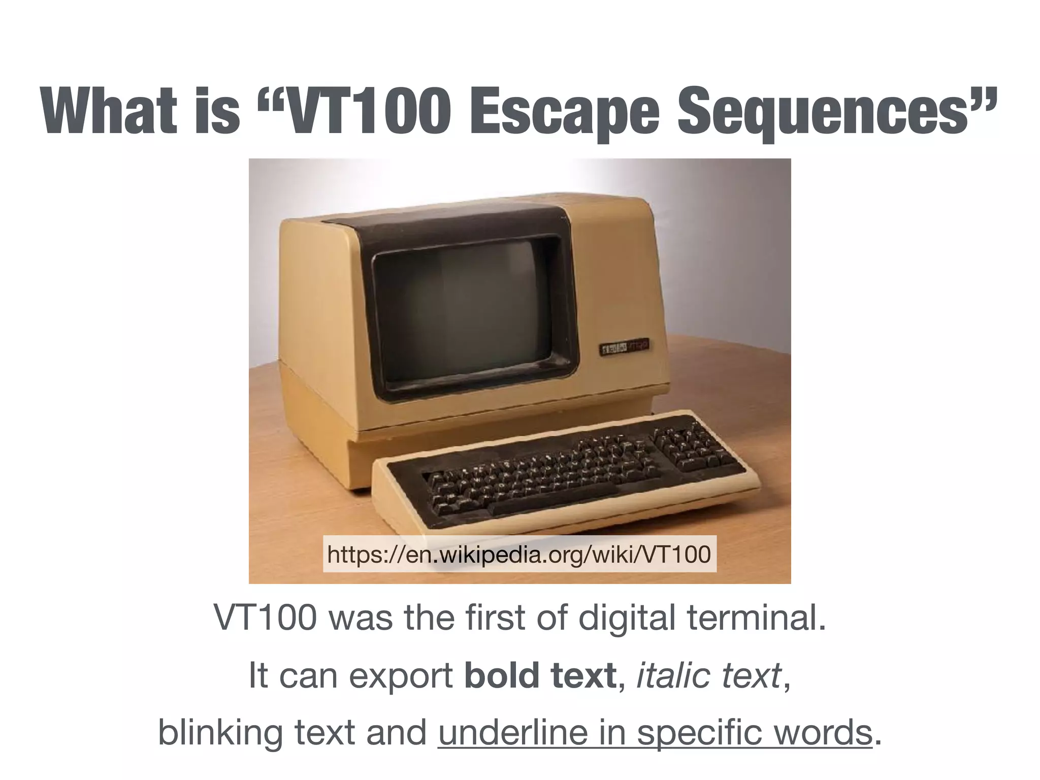 How to develop a rich terminal UI application | PPT