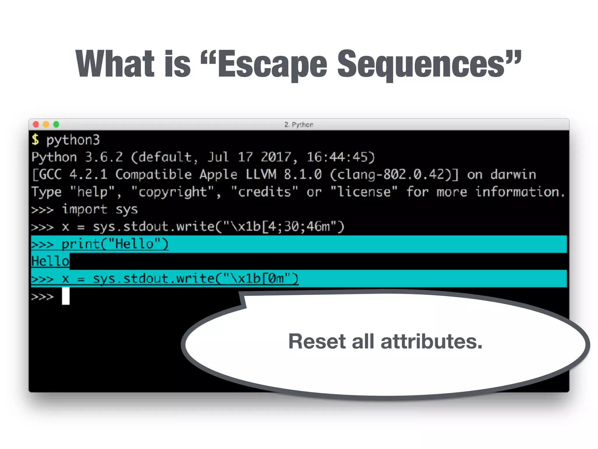 How to develop a rich terminal UI application | PPT