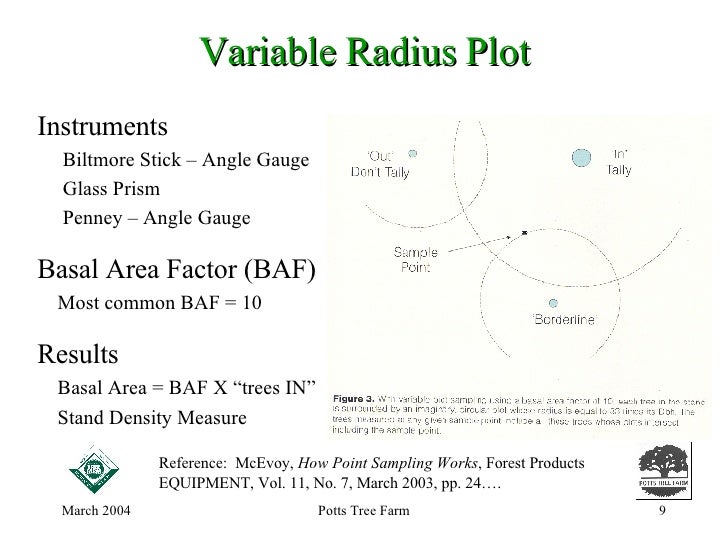 How To Do an Inventory of Your Trees