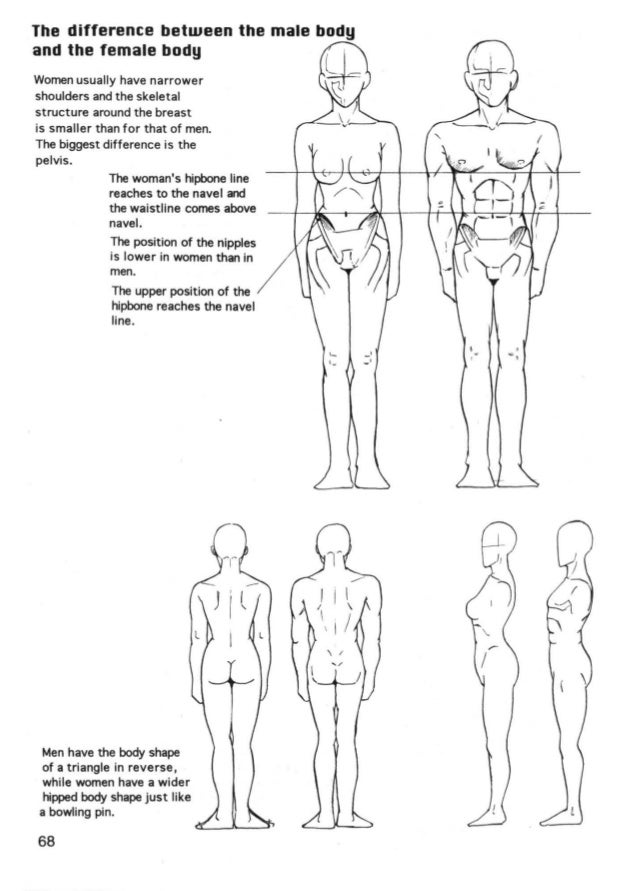 How To Draw Male Body Shapes How To Draw Male Body Shapes