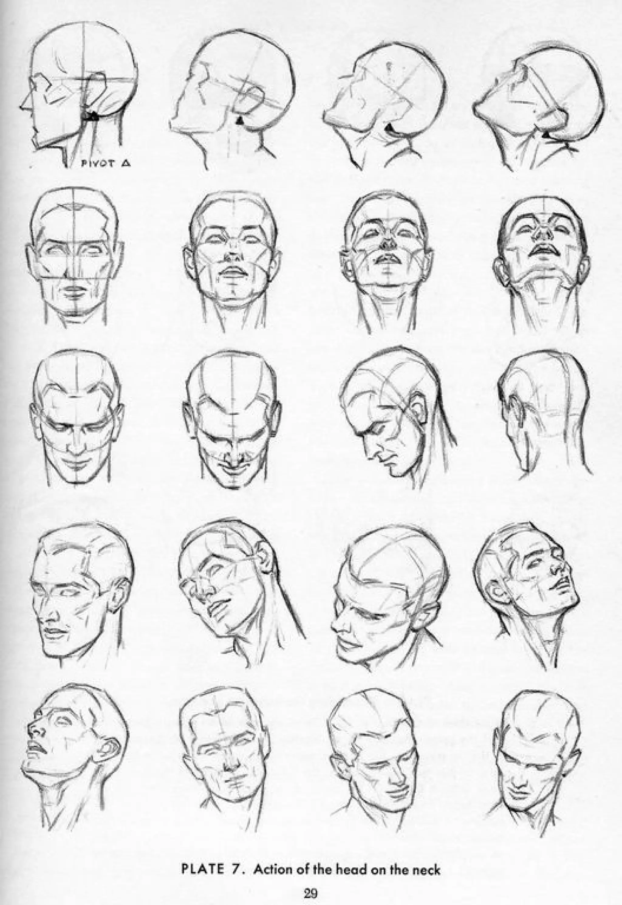 [How to-draw] andrew loomis - drawing the head and hands | PDF