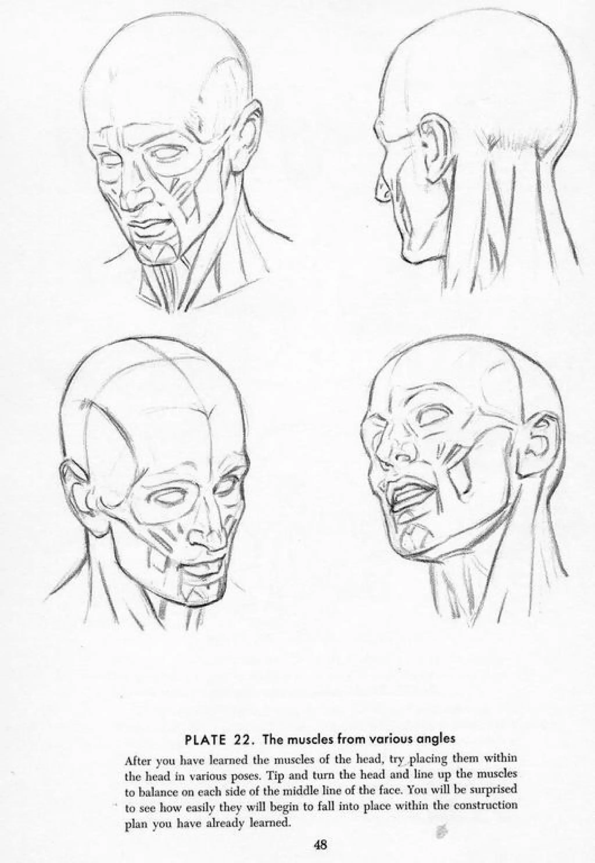 [How to-draw] andrew loomis - drawing the head and hands | PDF