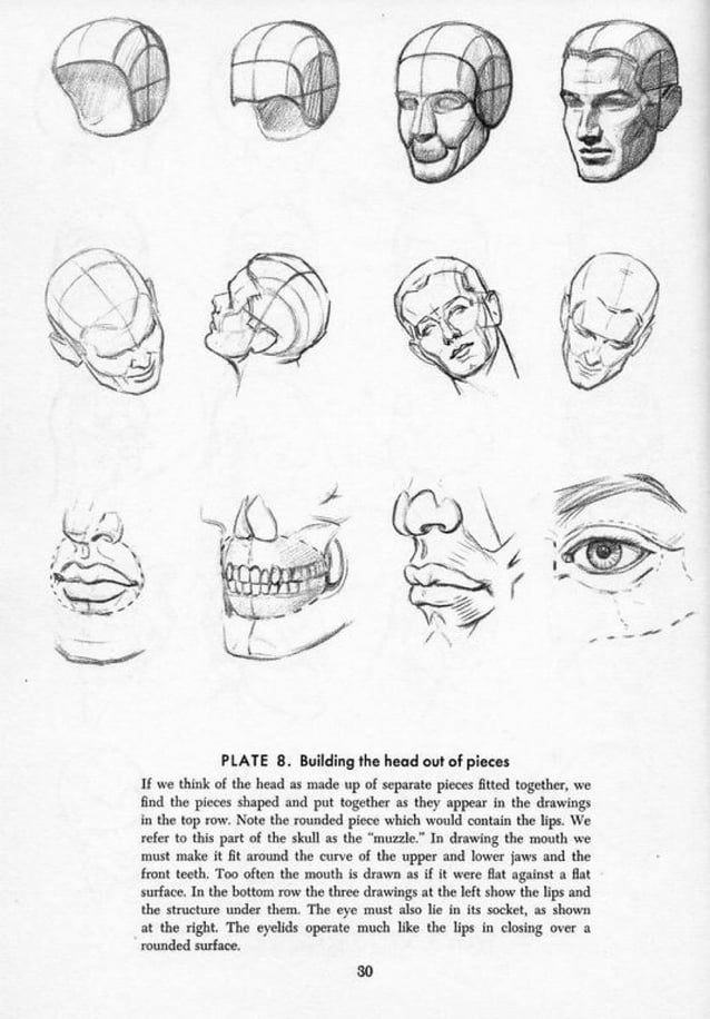 [How to-draw] andrew loomis - drawing the head and hands | PDF