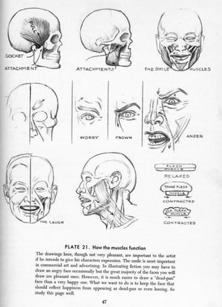 [How to-draw] andrew loomis - drawing the head and hands | PDF