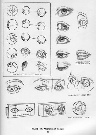 [How to-draw] andrew loomis - drawing the head and hands | PDF